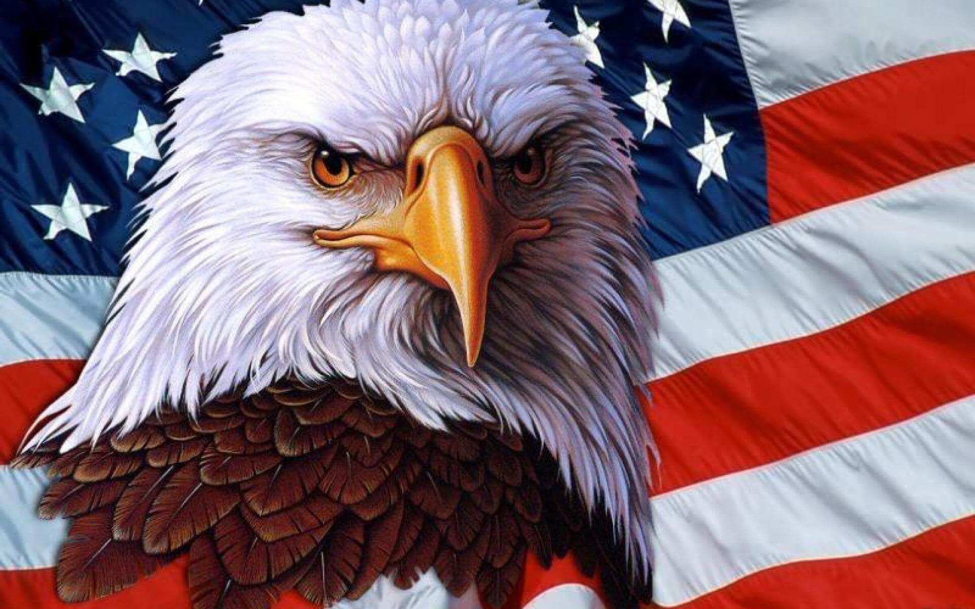 How the American Bald Eagle Became the Nation’s Emblem